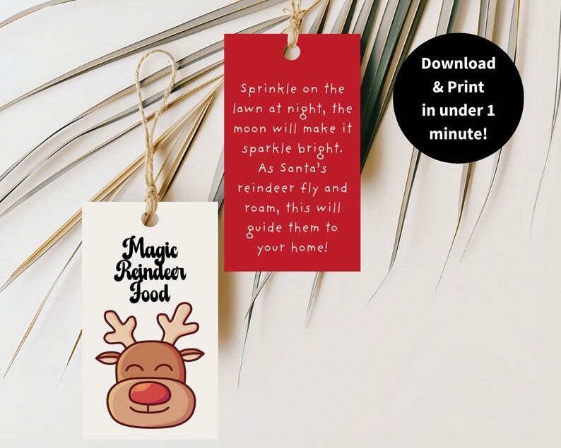 Printable Magic Reindeer Food Label Tag, Christmas Gift Tag, Reindeer ...