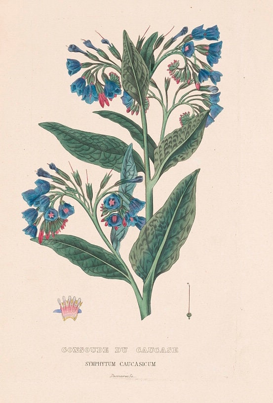 Blue Botanical Flowers Instant Digital Print - Etsy