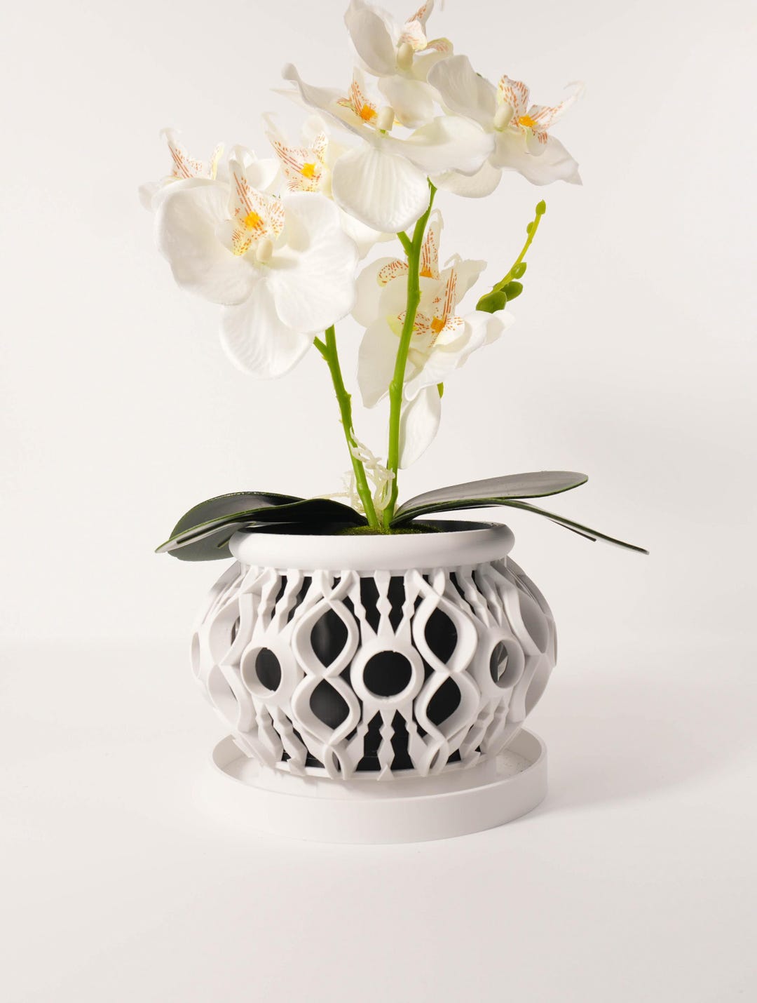 Orchid Pot With Drainage lyren Interior Design Modern & Unique 3D Printed - Etsy