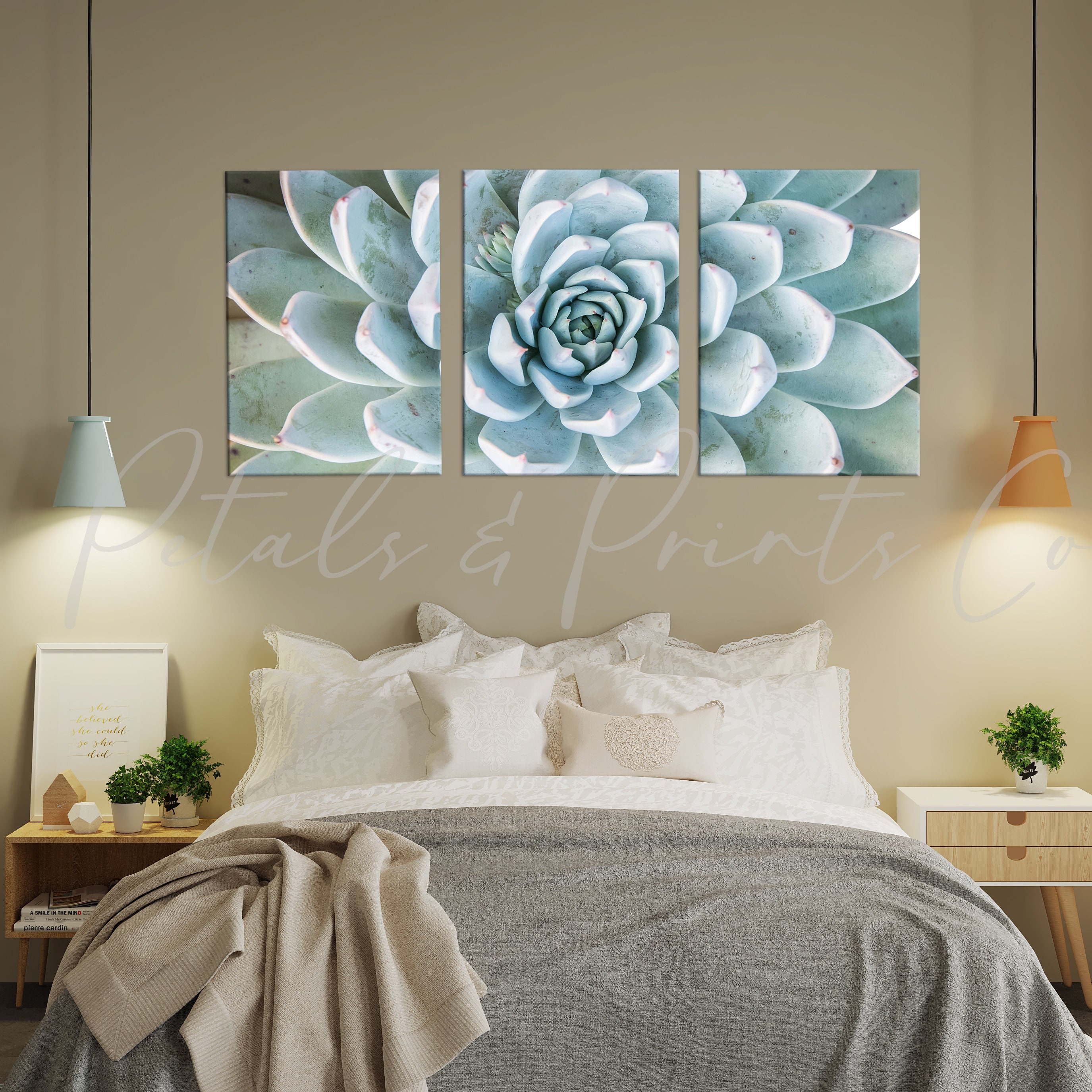 3 Piece Succulent Wall Art Decor Poster Print - Etsy
