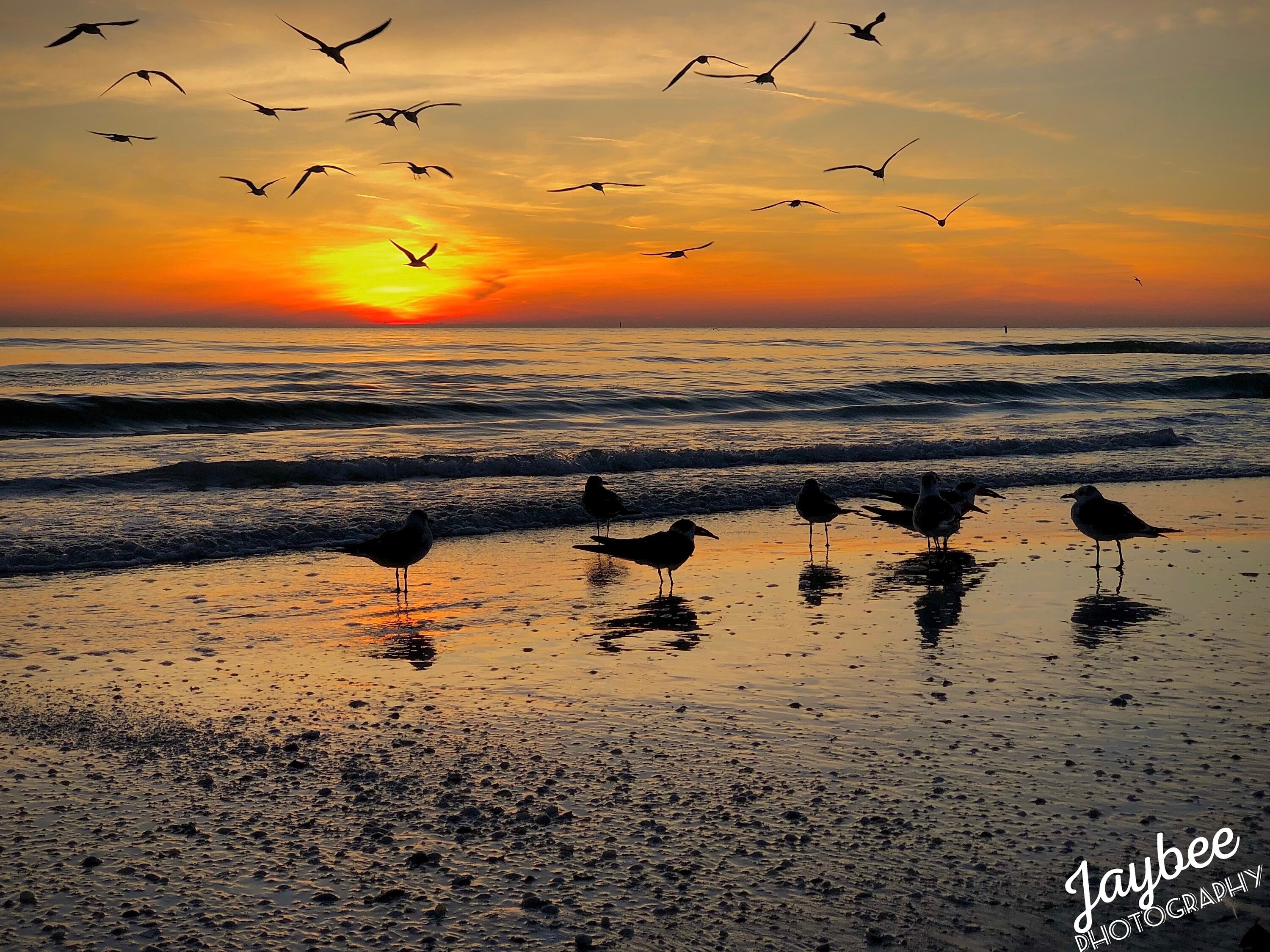 Siesta Key Sunset Sarasota Florida Sunset Photography Beach Photography ...