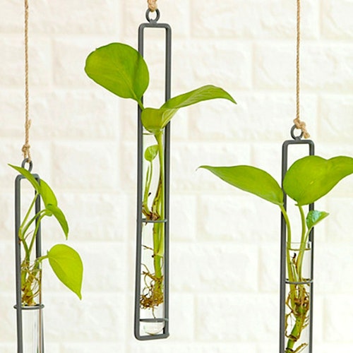 Hanging Stained Glass Plant Propagation/reed Diffuser - Etsy