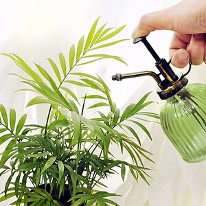 Buy Plant Mister Online - Etsy