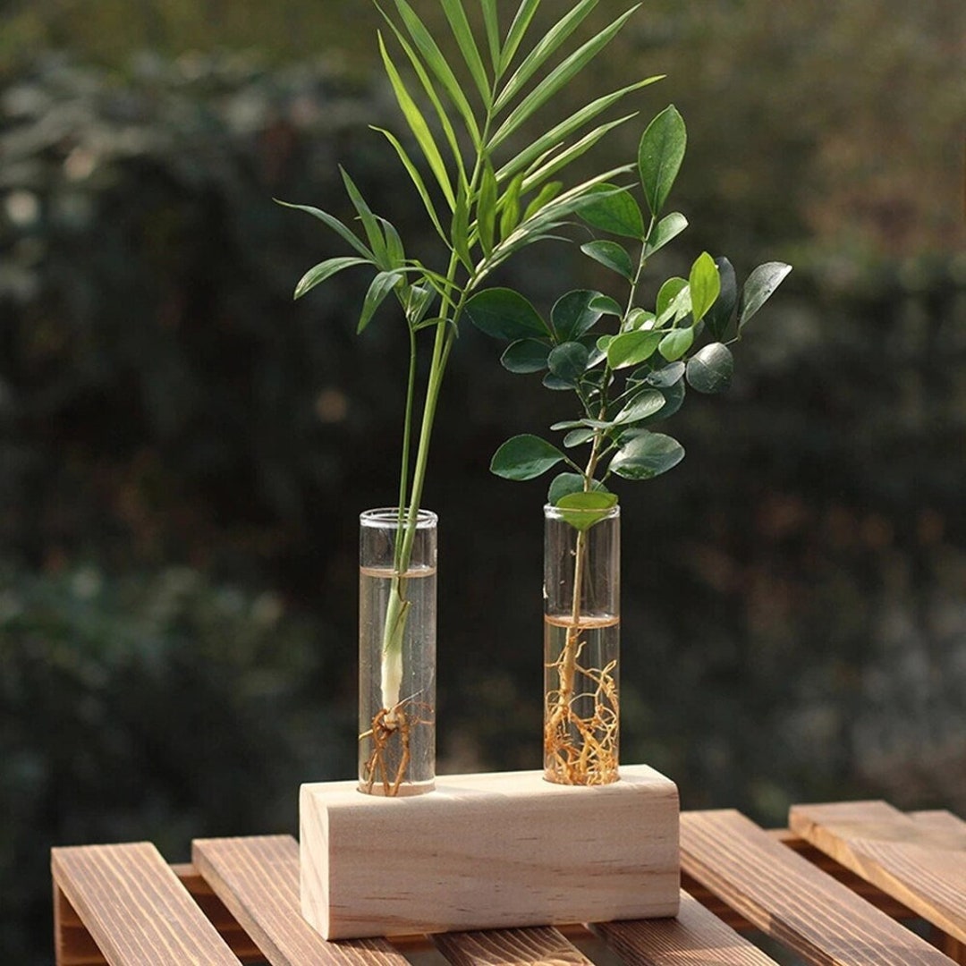 Glass Propagation Station Tubes With Wood Stand - Etsy UK