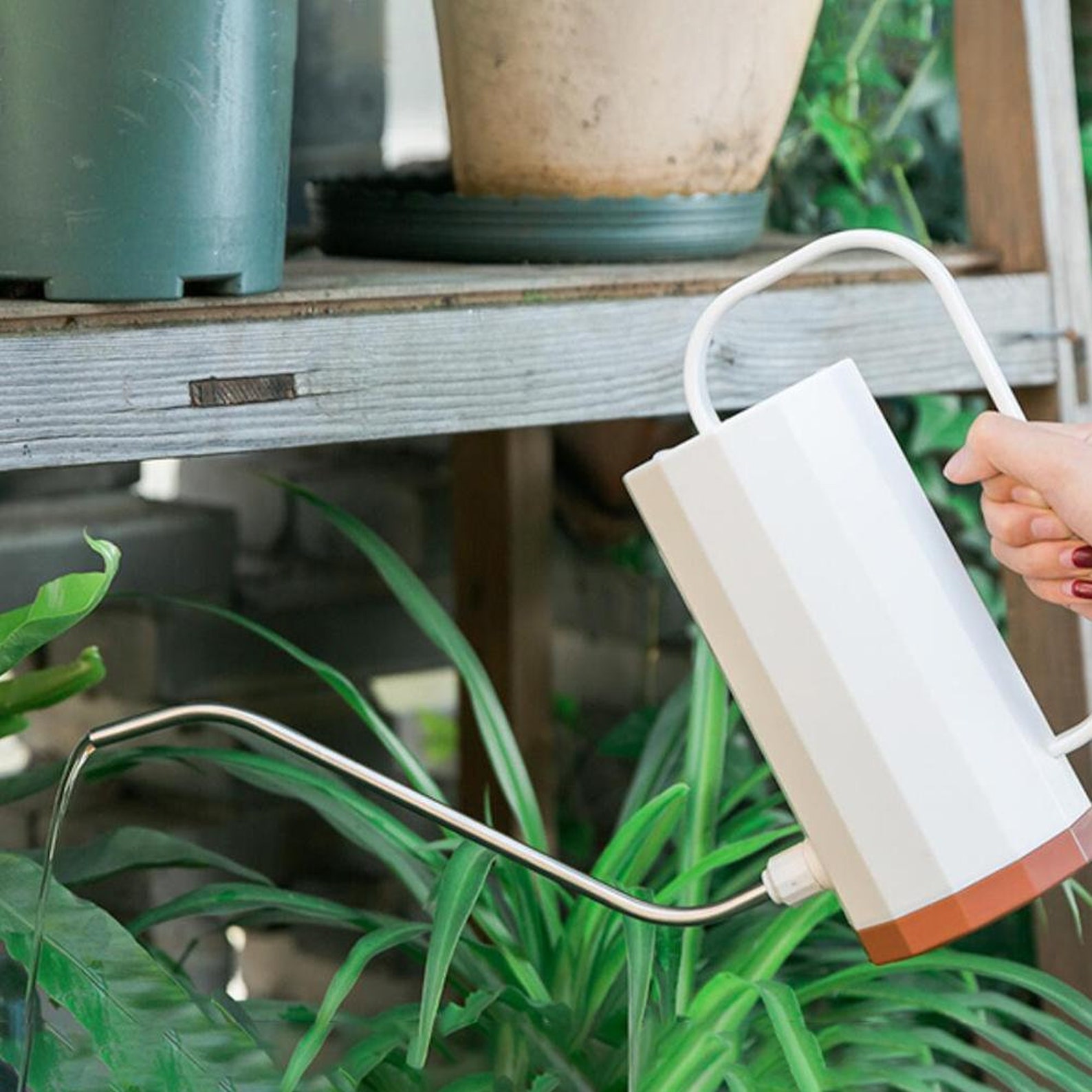 1.2L Plastic Long Mouth Watering Pitcher White Pink & Blue | Etsy