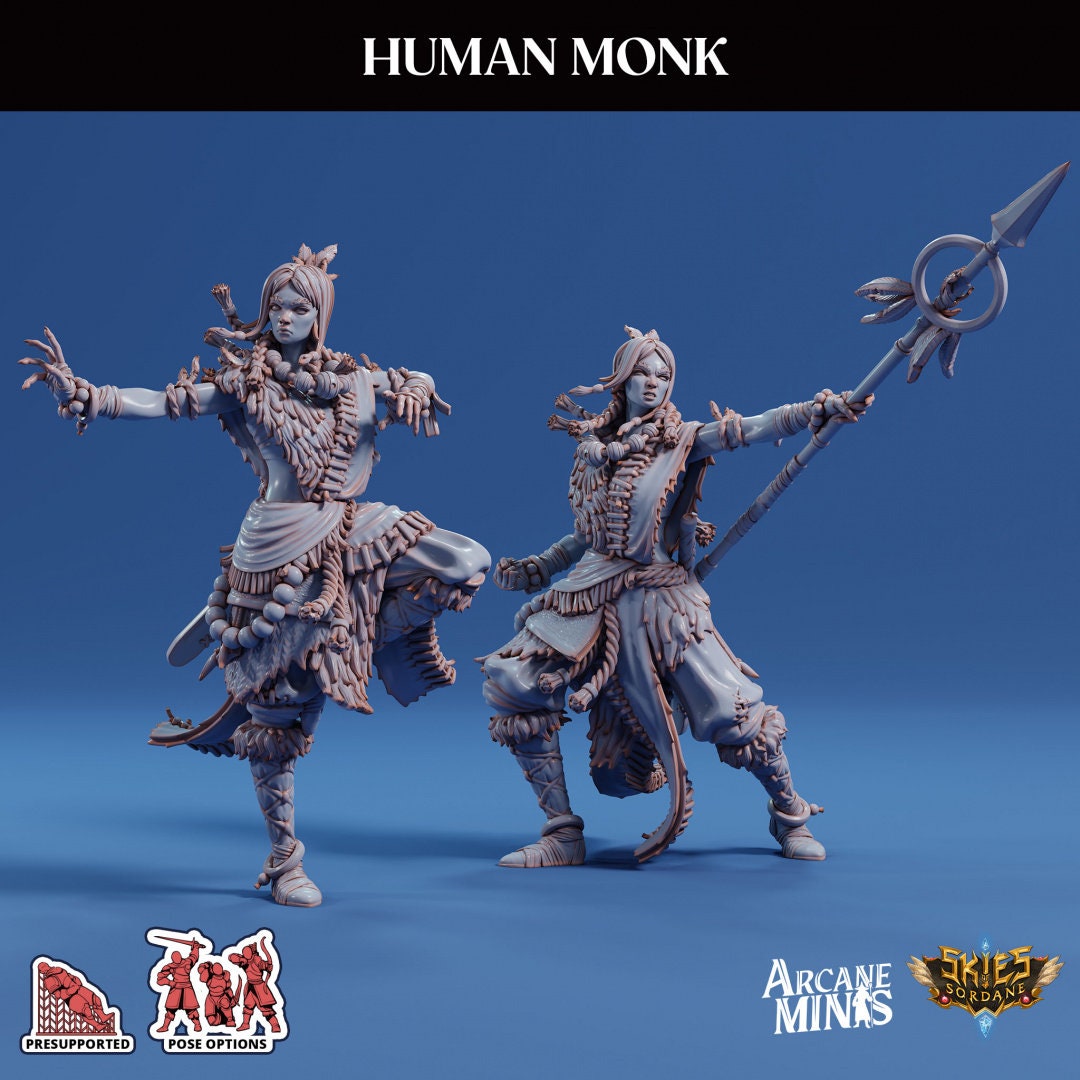 Female Human Monk Fighter D&D Pathfinder Fantasy 3D Printed Resin ...