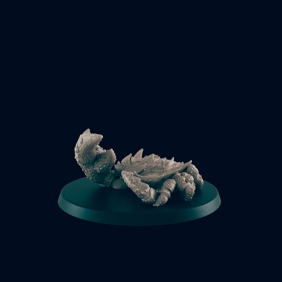 Dire Crab D&D Pathfinder Tabletop 3d Printed Miniature Resin or PLA - Etsy