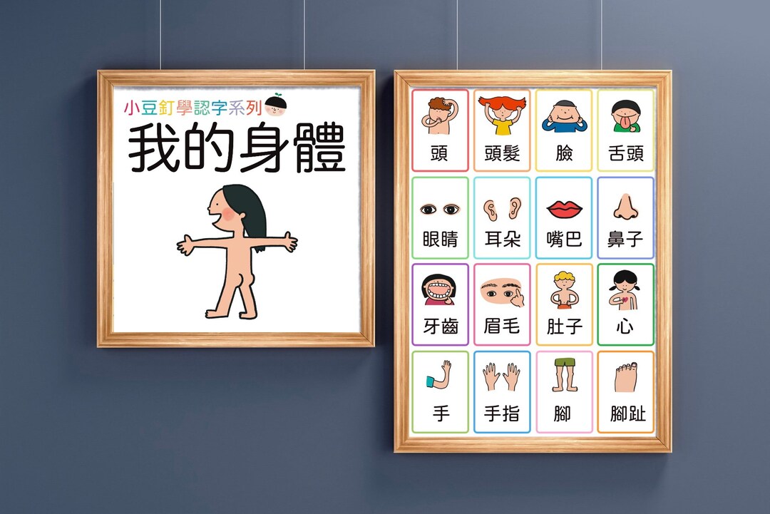 Lbc-my Body Chinese Book With Flashcards Set - Etsy