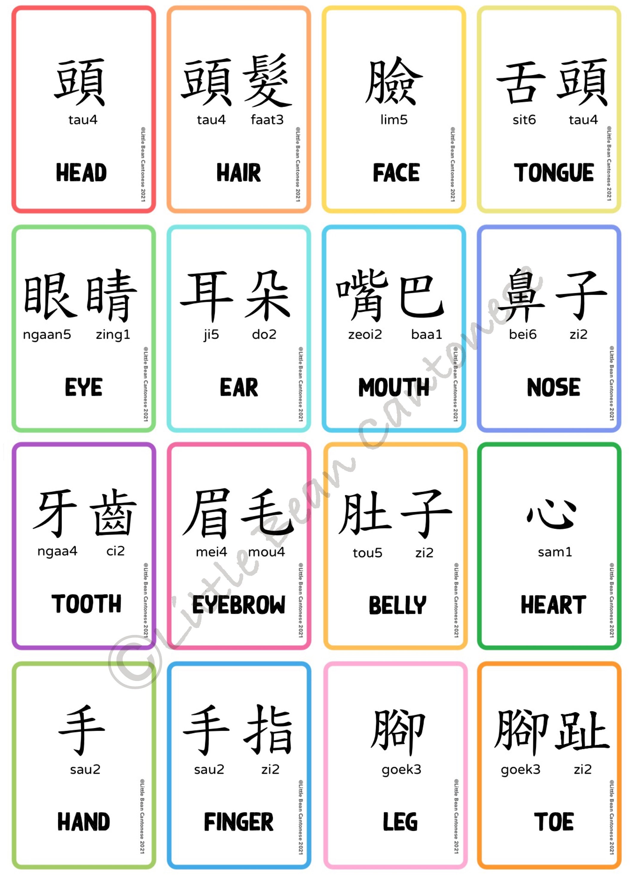 Lbc-my Body Chinese Book With Flashcards Set - Etsy