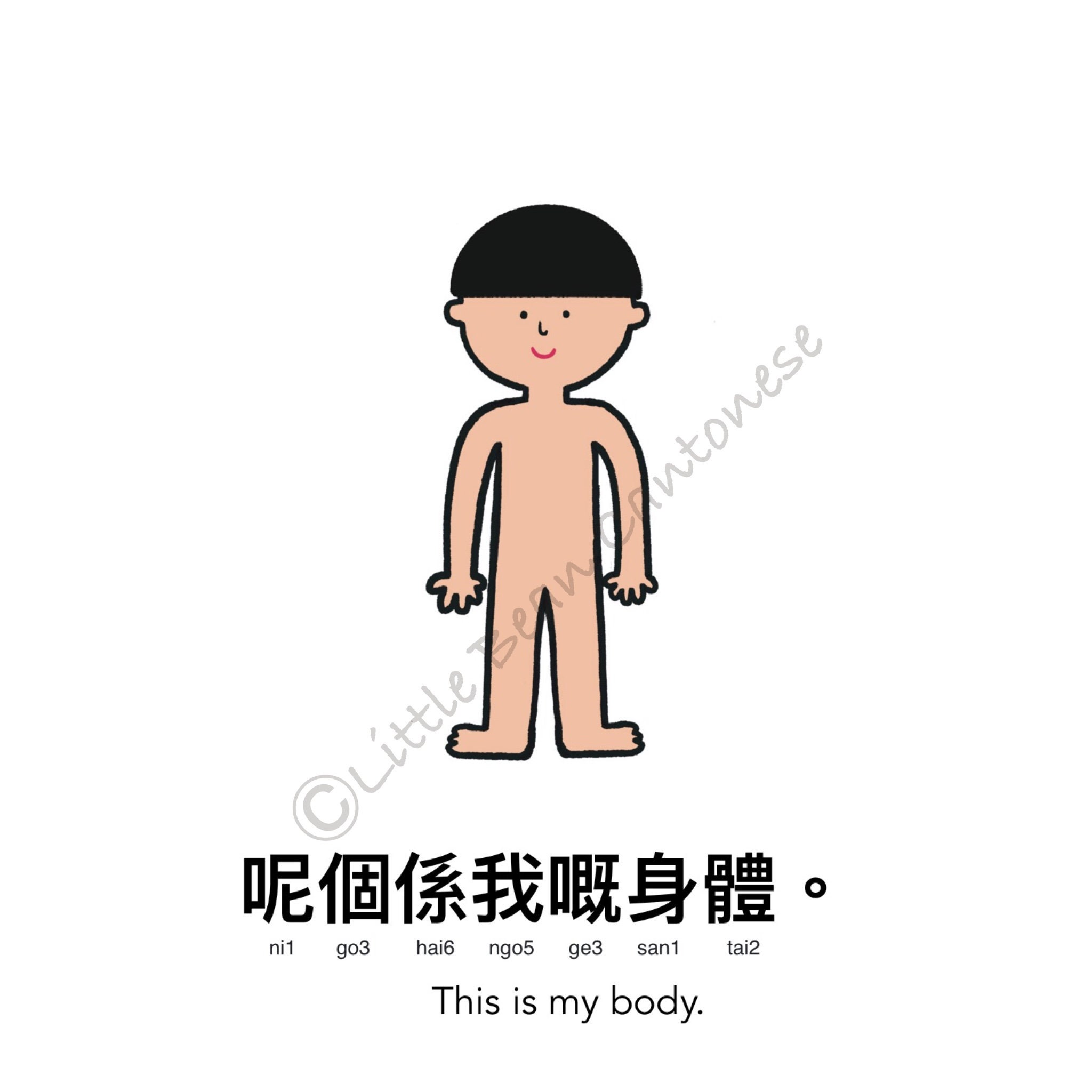 Lbc-my Body Chinese Book With Flashcards Set - Etsy