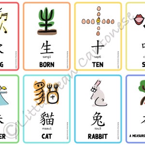 LBC1-160 Basic Chinese Words Digital Flashcards Set - Etsy