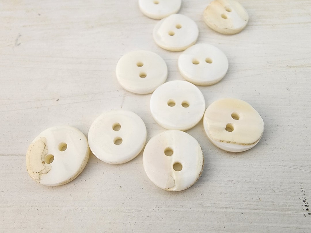 River Shell 1/2 Inch Diameter Buttons ( Pack of 10) - Etsy