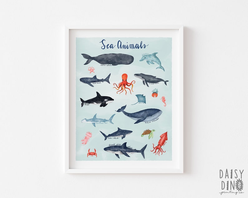 Sea Life Poster, Nursery Wall Art Printable - Etsy