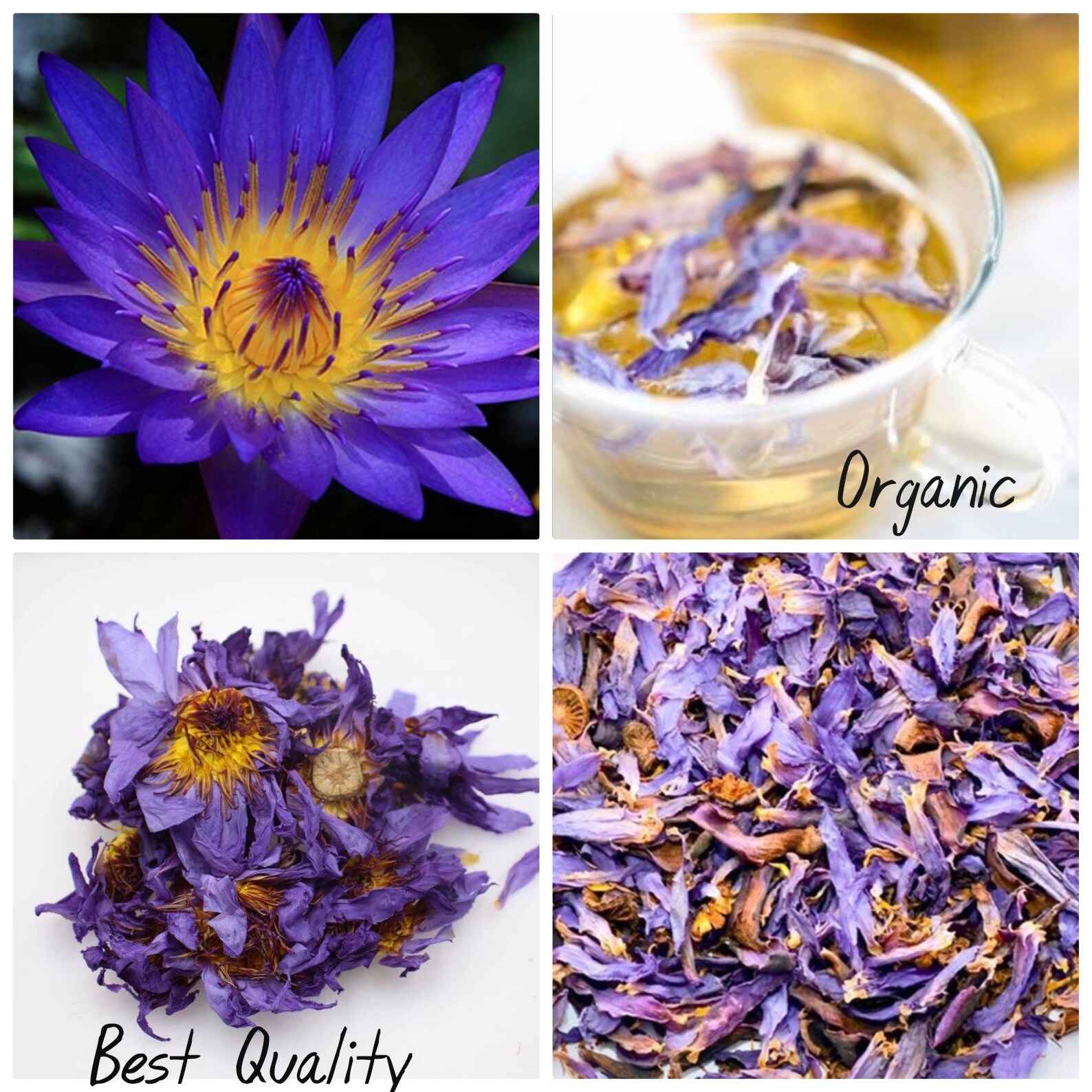 500g Organic Blue Lotus Flowers Dried Nymphaea Caerulea Etsy