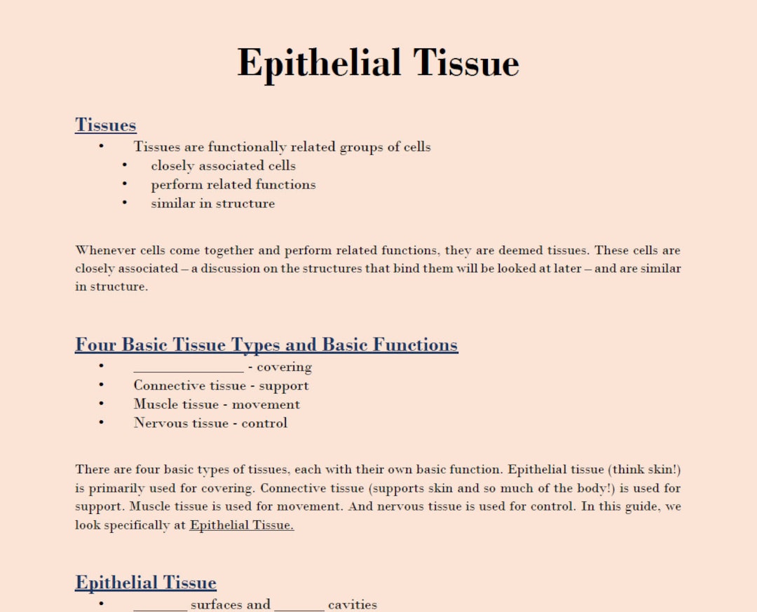 Anatomy Study Guides - Epithelial Tissue - Downloadable PDF - Etsy