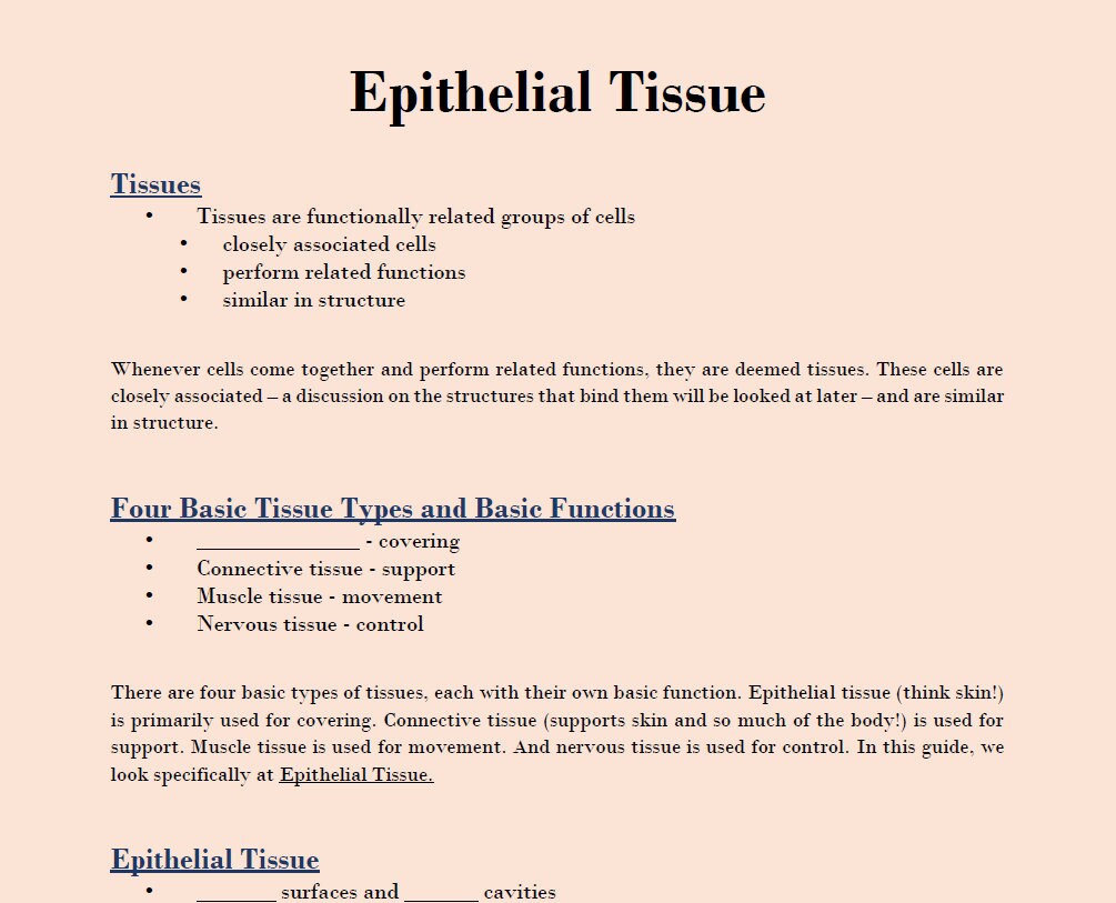 Anatomy Study Guides - Epithelial Tissue - Downloadable PDF - Etsy