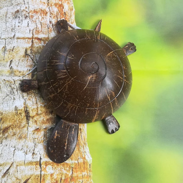 Carved Coconut Shell - Etsy
