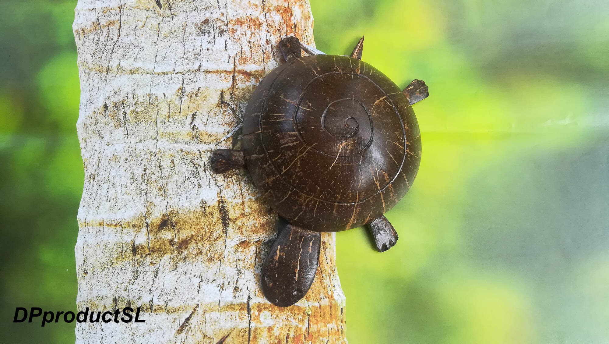 Coconut Shell Tortoise/coconut Shell Craft/carved Turtle Ashtray ...