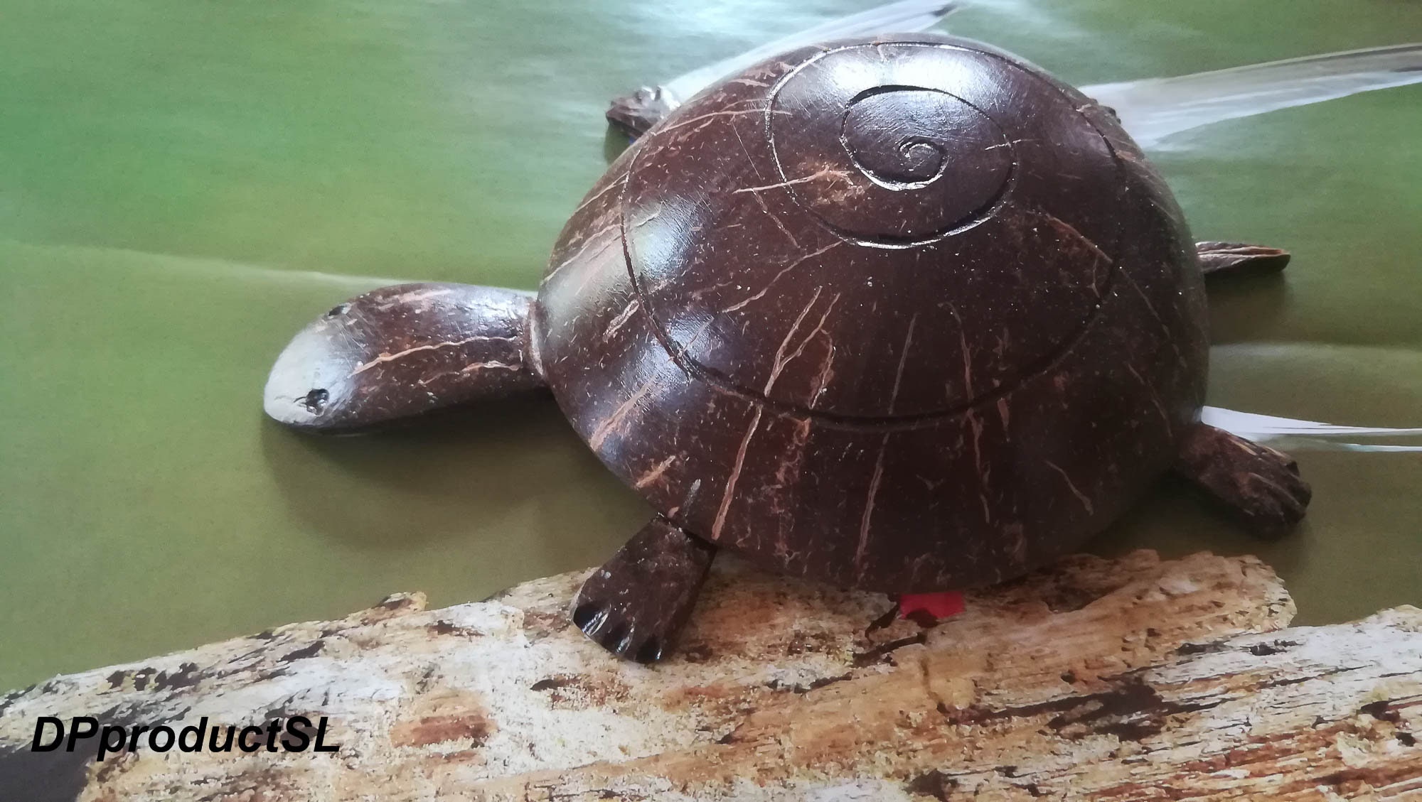 Coconut Shell Tortoise/coconut Shell Craft/carved Turtle Ashtray ...