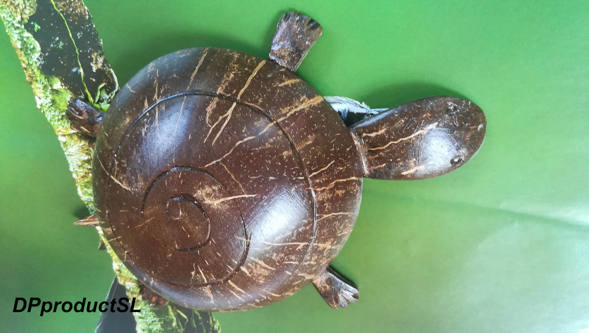 Coconut Shell Tortoise/coconut Shell Craft/carved Turtle Ashtray ...