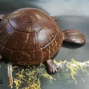 Coconut Shell Tortoise/coconut Shell Craft/carved Turtle Ashtray ...