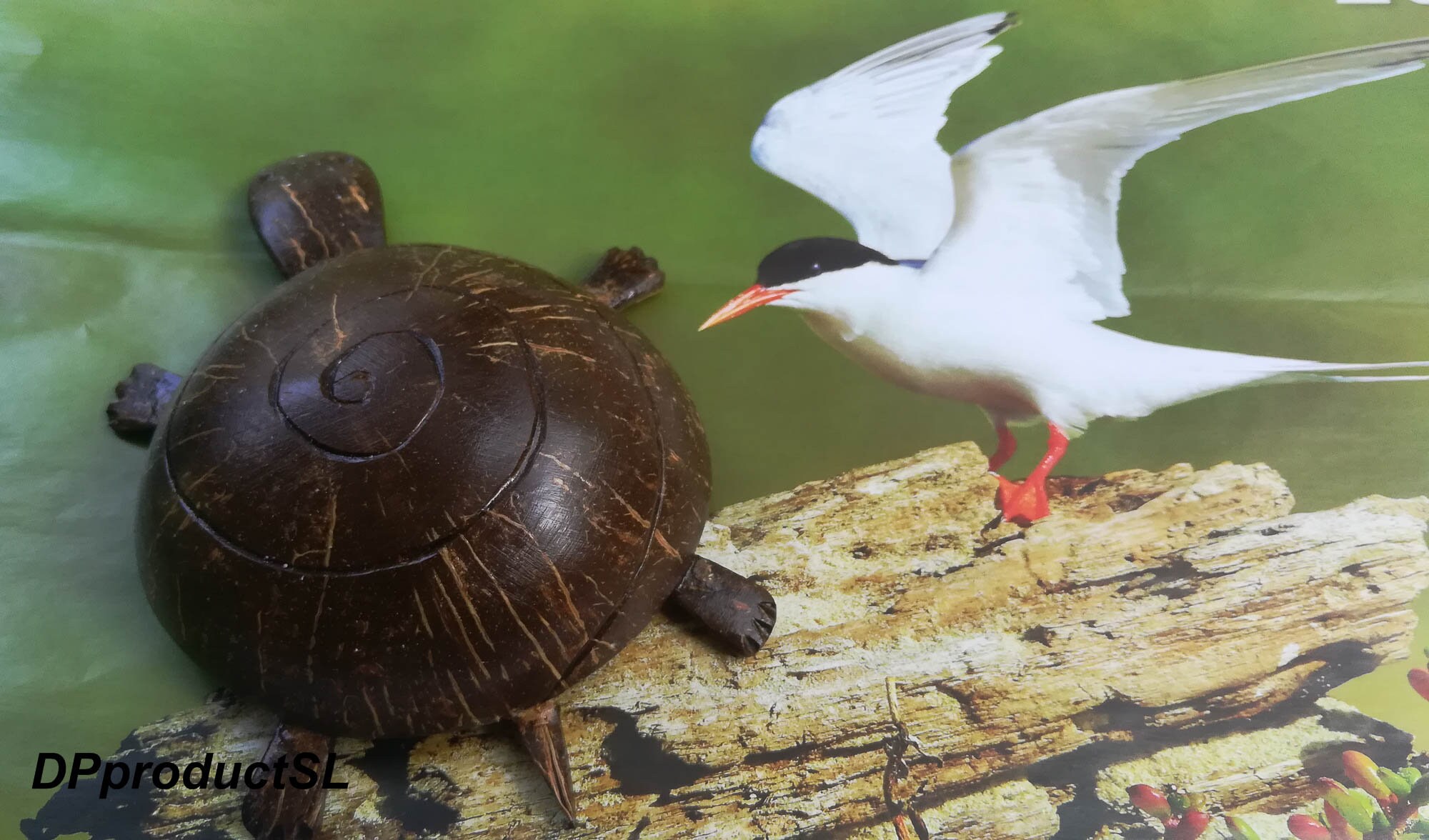 Coconut Shell Tortoise/coconut Shell Craft/carved Turtle Ashtray ...