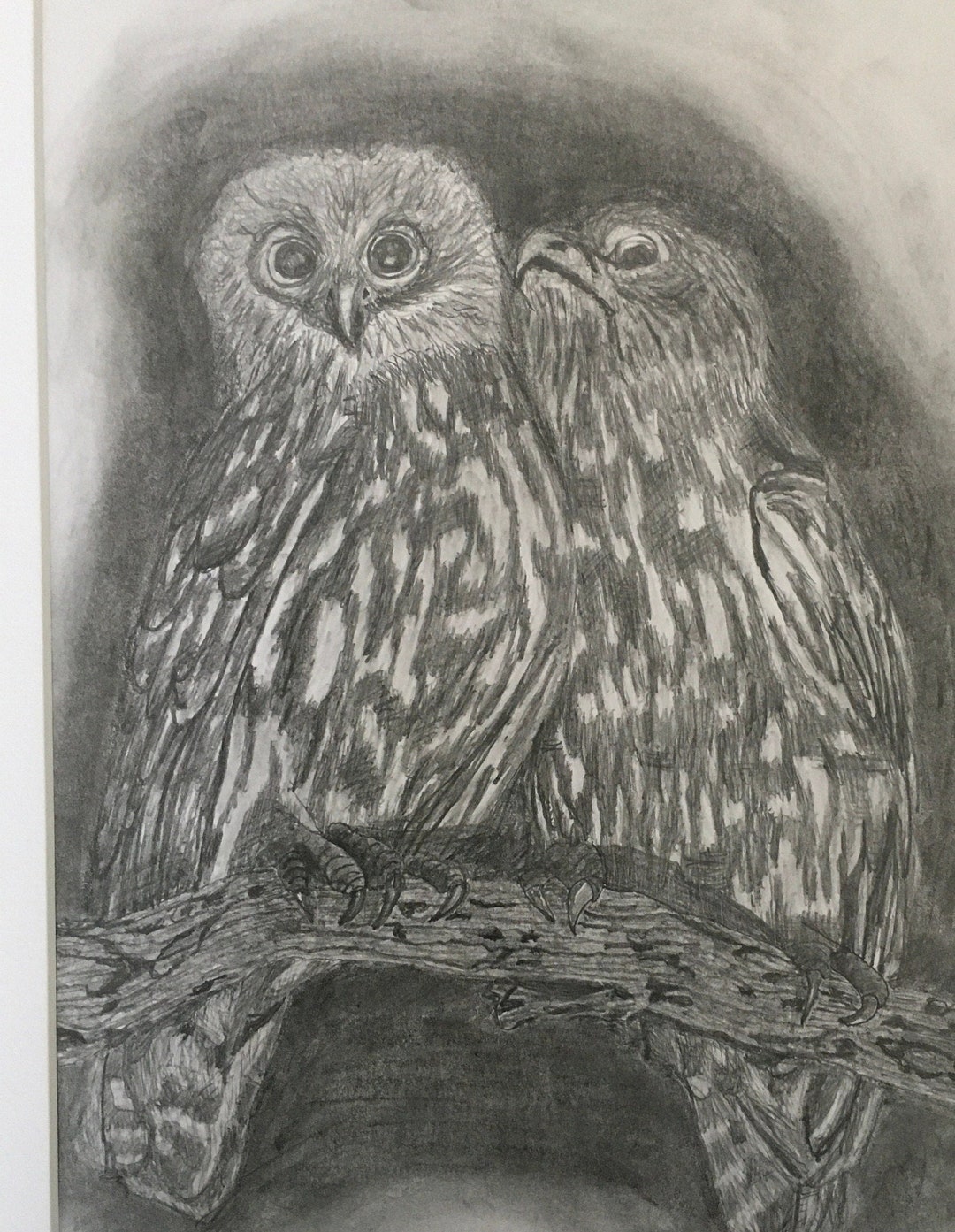 Original Graphite Drawing. Title: Barking Owls. Australian Animal ...