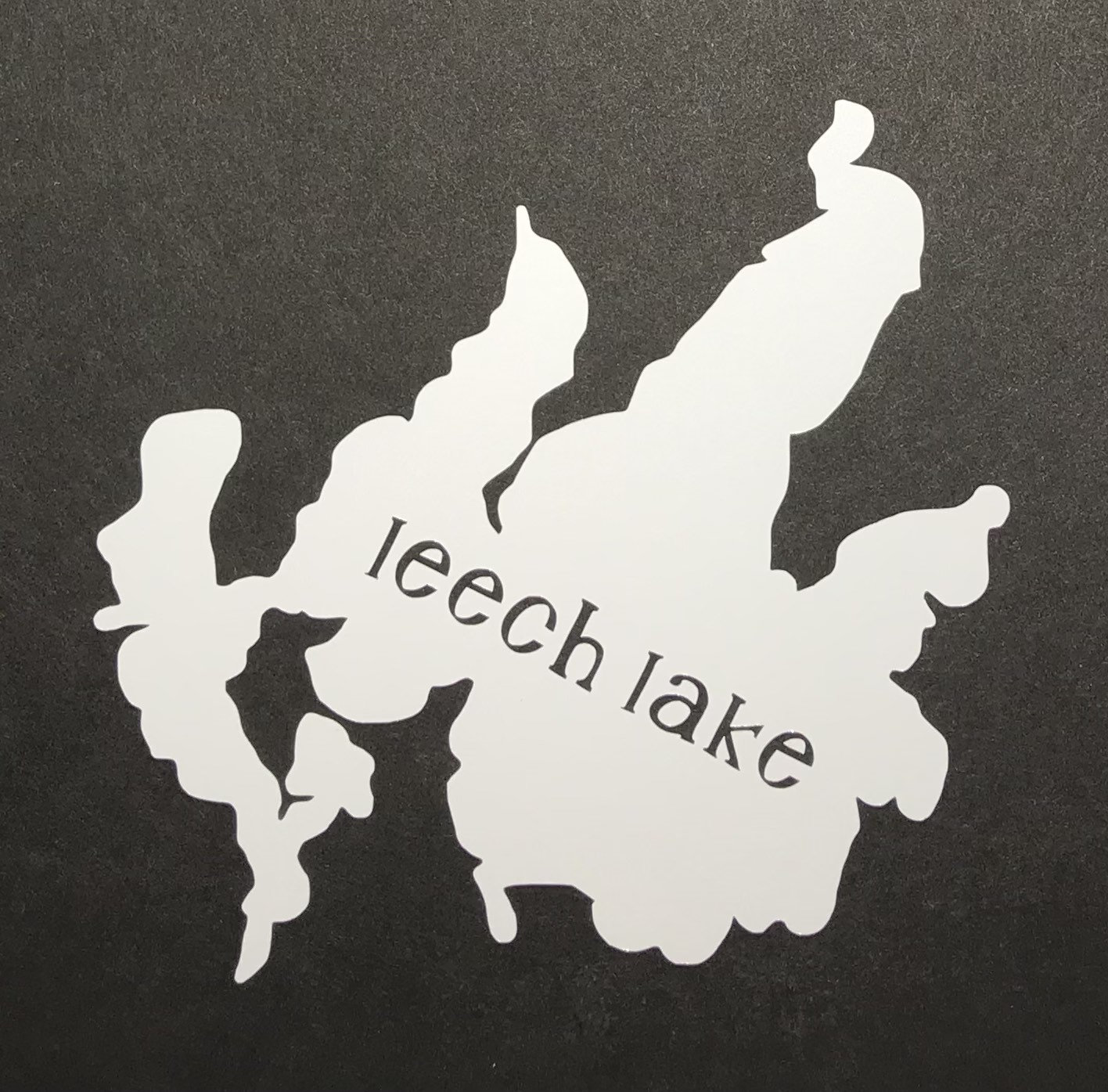 For Sale Leech Lake at Victor Bartlett blog