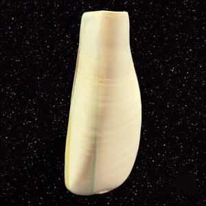 Studio Art Pottery Signed SS Vase Hand Made Painted Abstract 6.5”T 5.75 ...