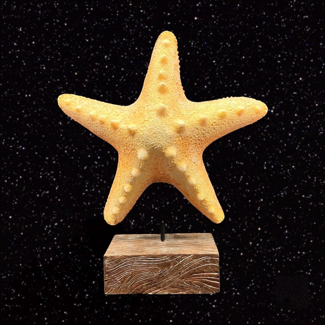 Starfish on Faux Wood Sculpture Figurine Large Wide 11”t 8”w - Etsy