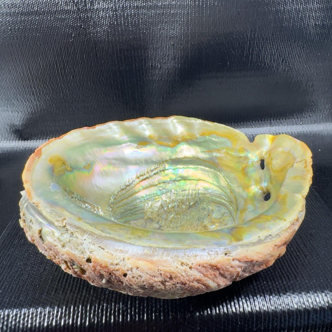 Natural Red Abalone Shell Large Dish Bowl Container Trinket Holder ...