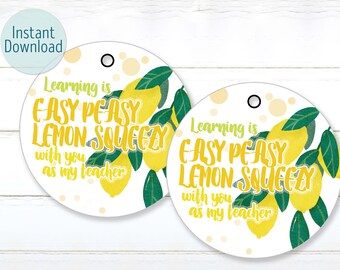 Printable PYO Cookie Tag With Instructions Paint Your Own - Etsy