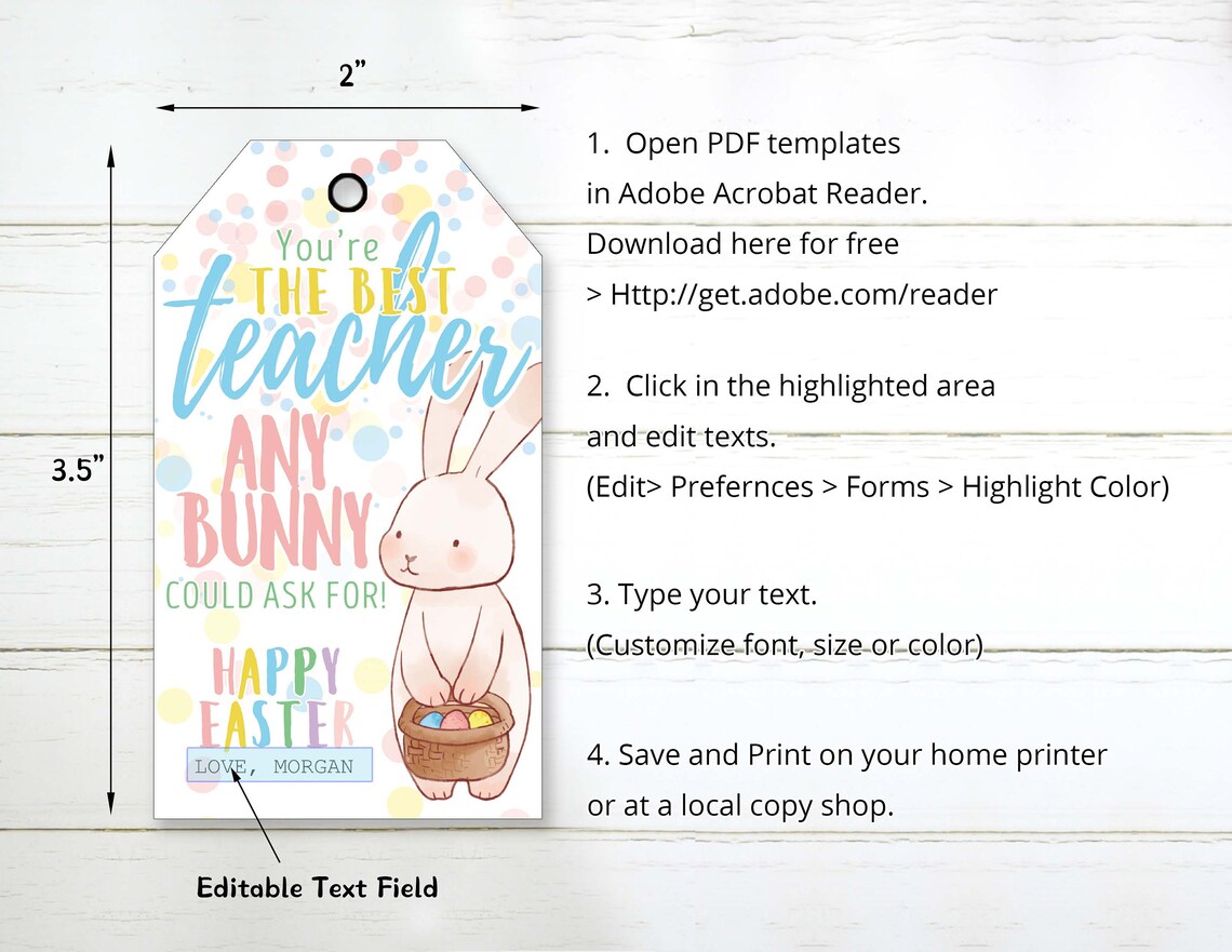 Printable Bunny Teacher Tags Easter EDITABLE PDF You're - Etsy