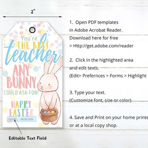 Printable Bunny Teacher Tags Easter EDITABLE PDF You're the Best ...