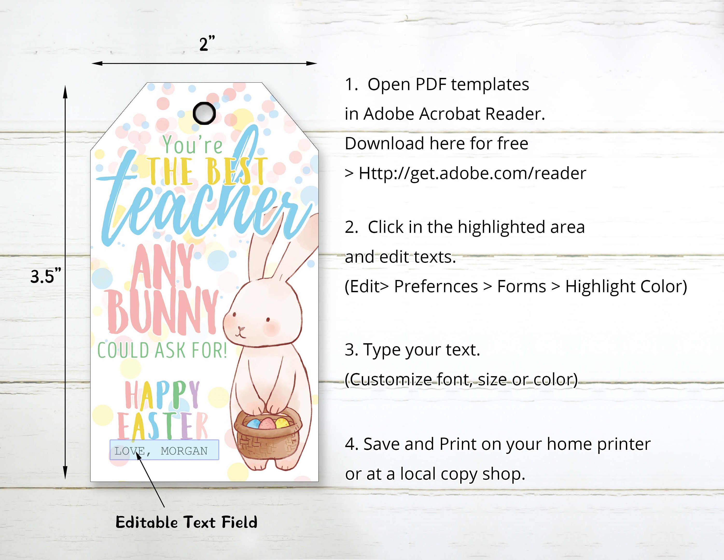 Printable Bunny Teacher Tags Easter EDITABLE PDF You're - Etsy