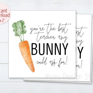 Printable You're the Best Teacher Any Bunny Could Ask for Cookie Tag ...