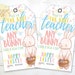 Printable You're the Best Teacher Any Bunny Could Ask for Cookie Tag ...