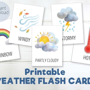 Printable Weather Flash Cards Learning Busy Book Three Part Cards ...