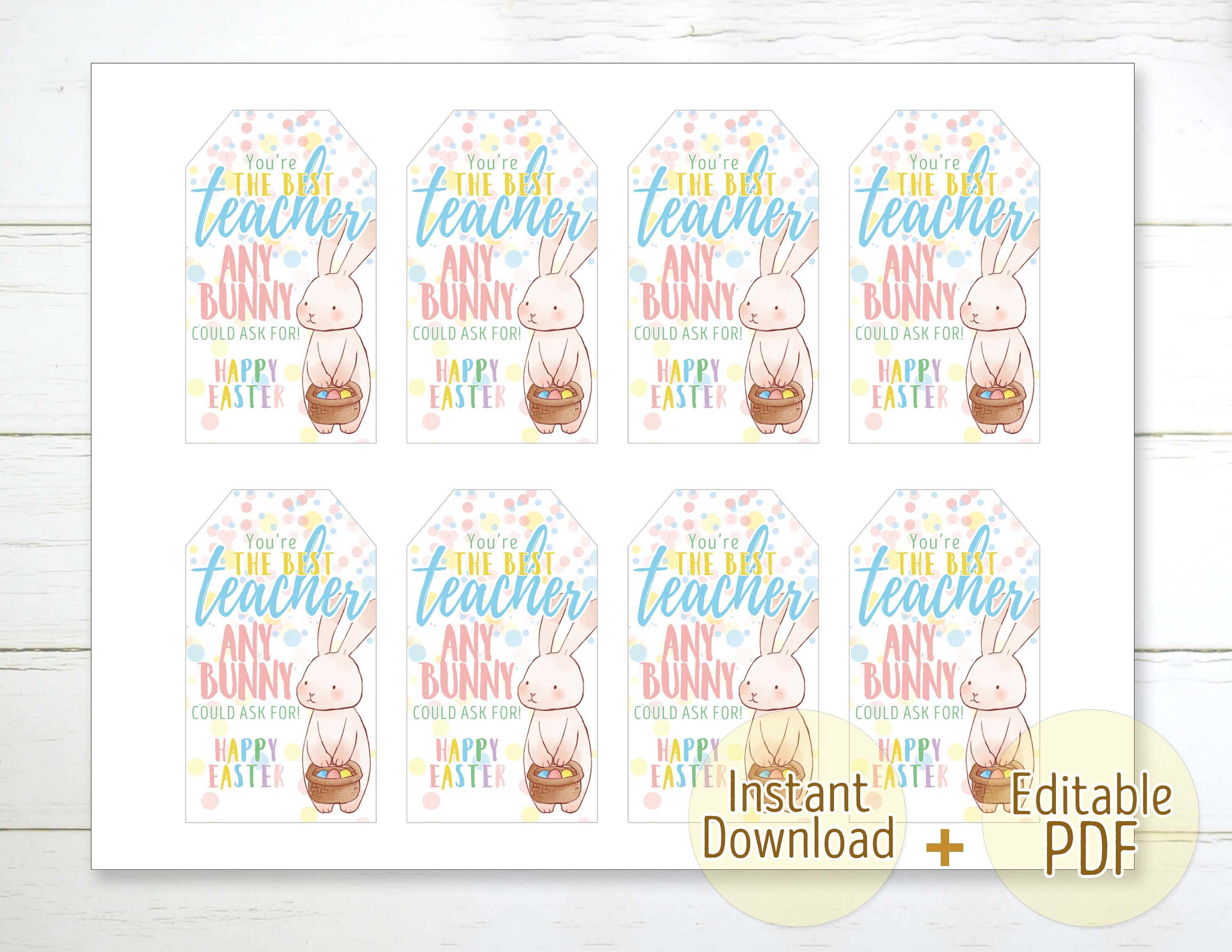 Printable Bunny Teacher Tags Easter EDITABLE PDF You're - Etsy