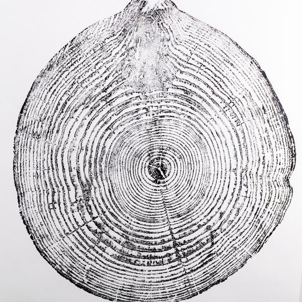 Tree Ring Art - Etsy
