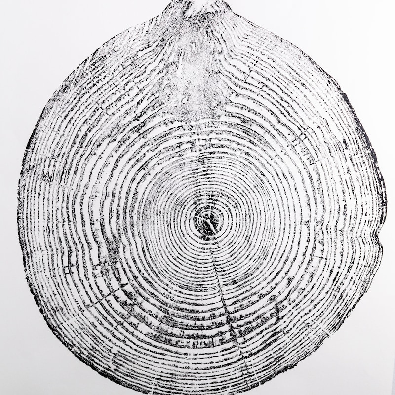 Tree Ring Art - Etsy