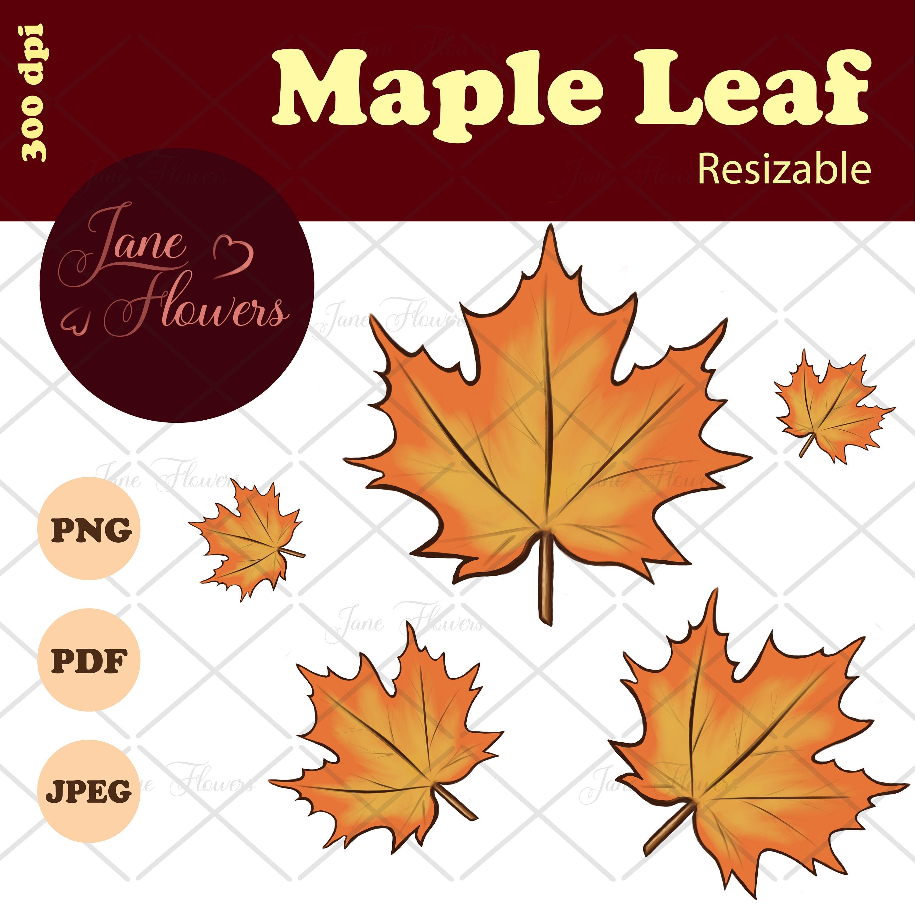 Cute maple leaf clipart fall leaf PNG template for autumn | Etsy