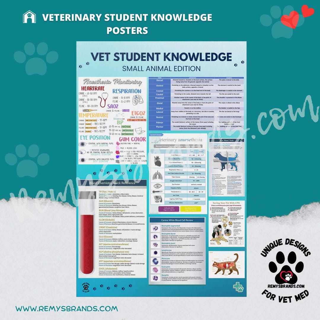 Vet Student Knowledge Poster: Small Animal Veterinary Infographics - Etsy