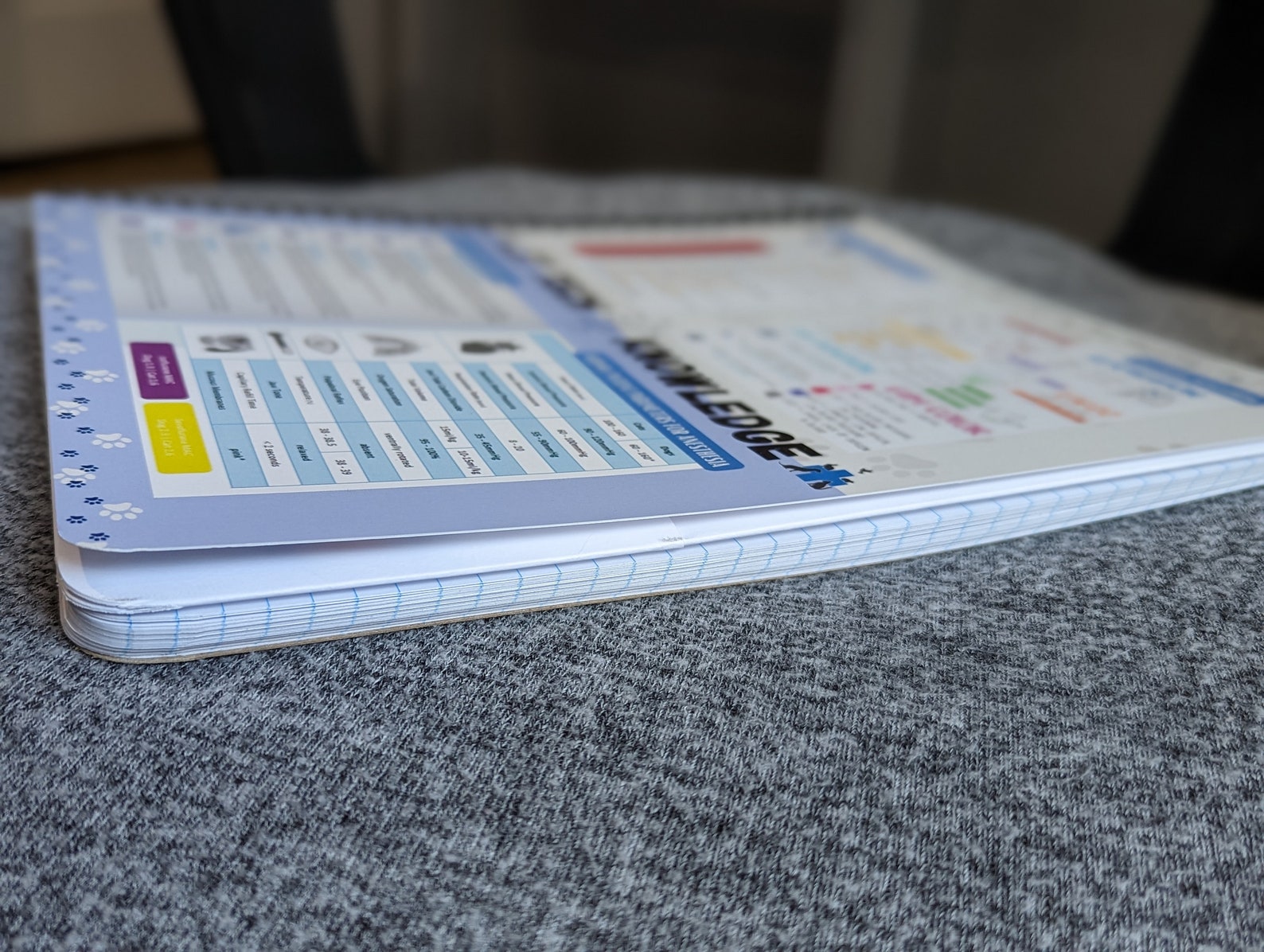 Vet Tech Knowledge Notebook XL Edition by Remysbrands | Blank Journal ...