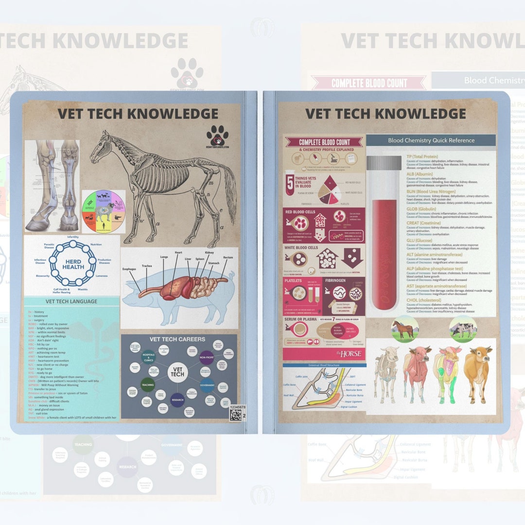 Vet Tech Knowledge large Animal Edition Paperback Journal Small and ...