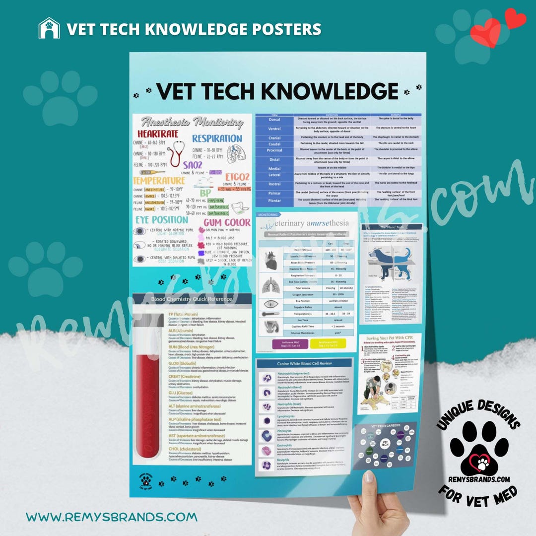 Vet Tech Knowledge Poster Matte or Glossy | Veterinary Technician ...