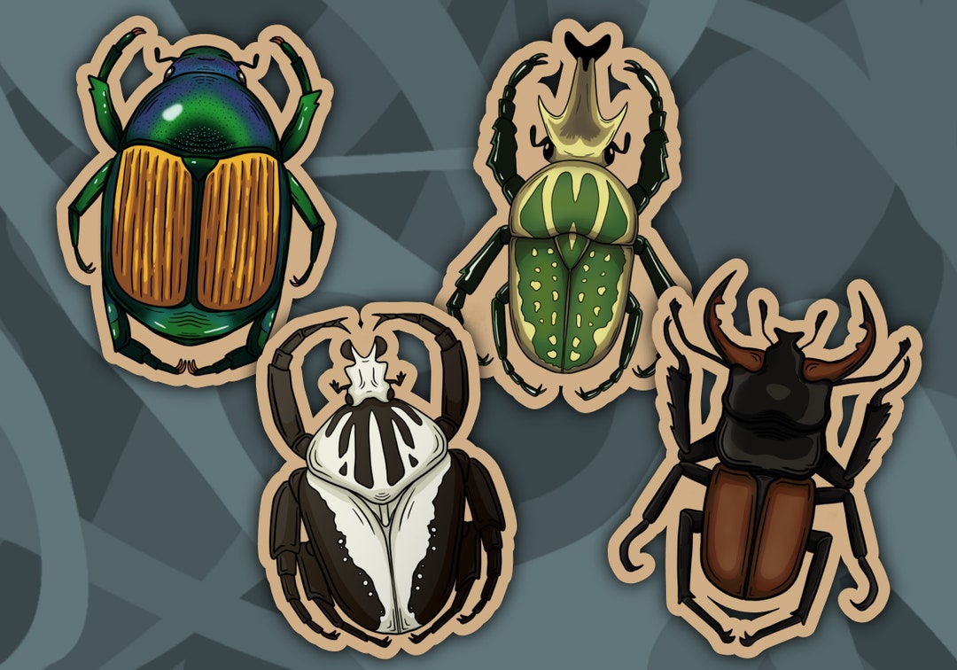 Wooden Fridge Magnet - Magnets - Beetle Shapes - Beetle Species ...