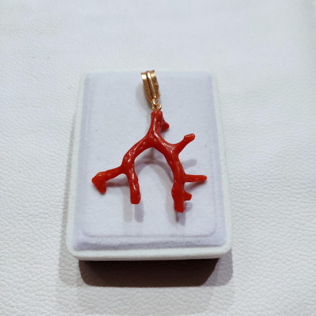 Beautiful 100% Natural Red Coral Gold Brass Pendant Red Coral Rough ...