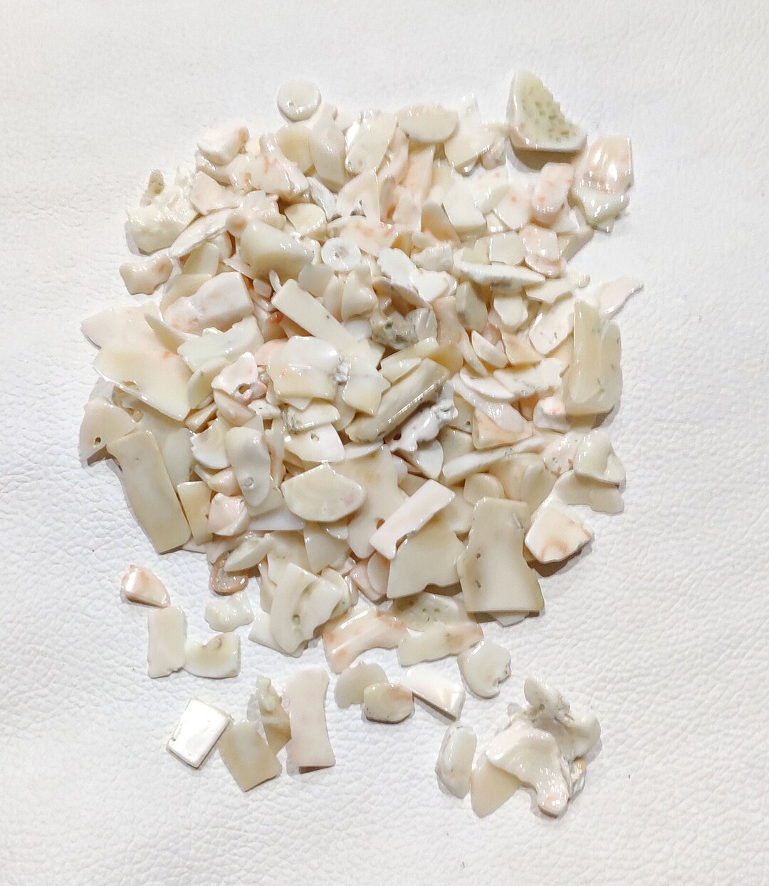 White Coral Rough Chips: Natural Japan Coral for Jewelry Making (100 ...