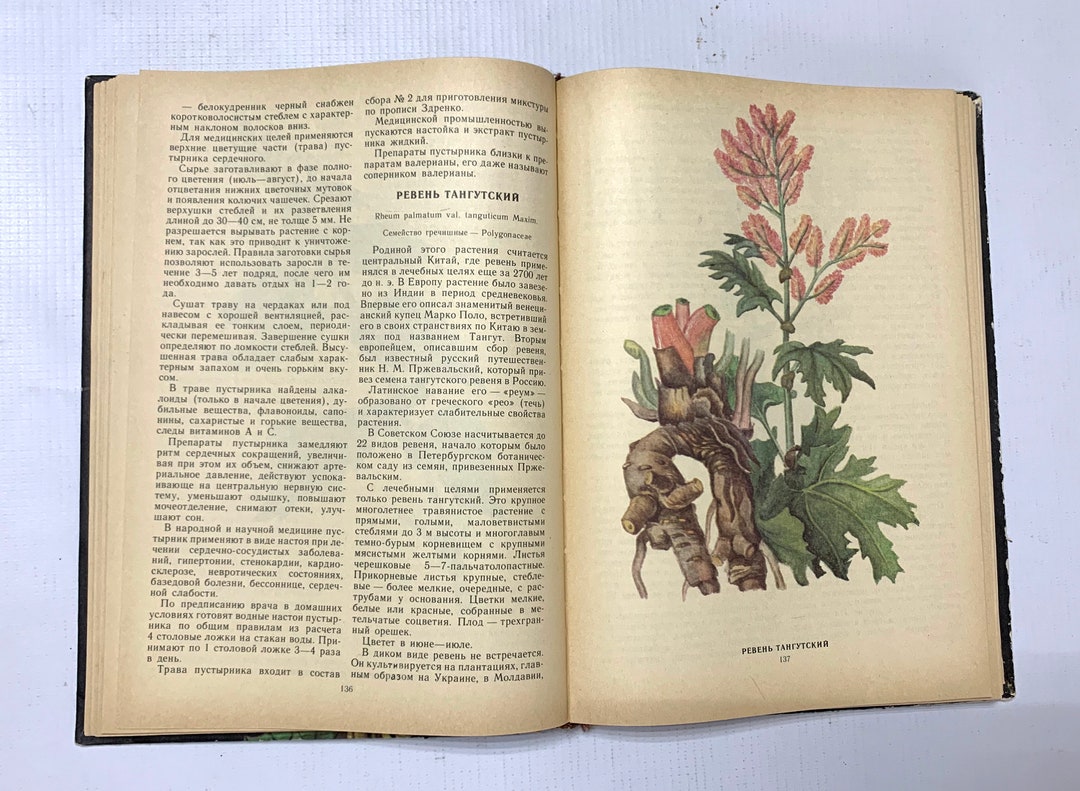 Herbal Book Pages, Botanical Herbal Book,medicinal Plants Illustration ...